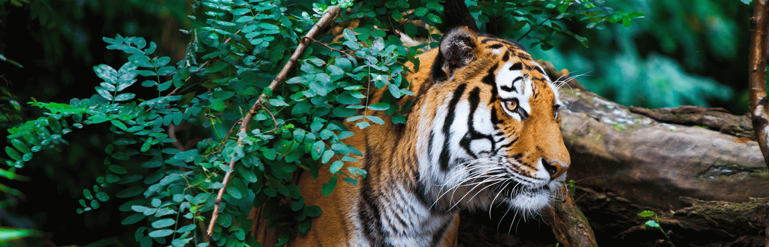 get lost Magazine | Inspiring travel